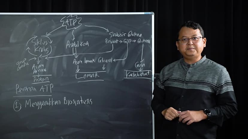 Materi Pengantar Website Development: Domain apa saja yang perlu ...